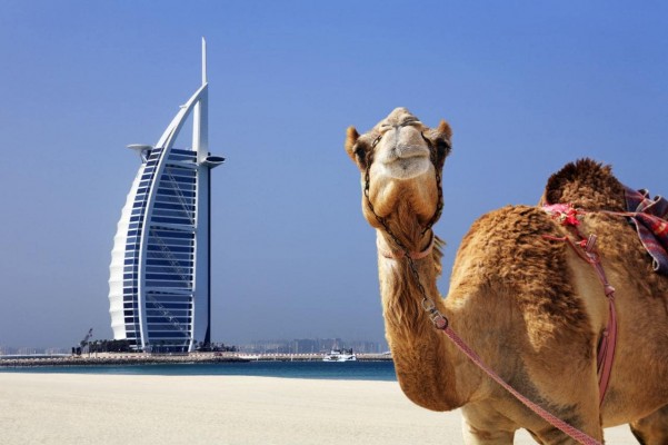 Dubaijas emirāts trīs gadu laikā pilnībā atteiksies no papīra ...